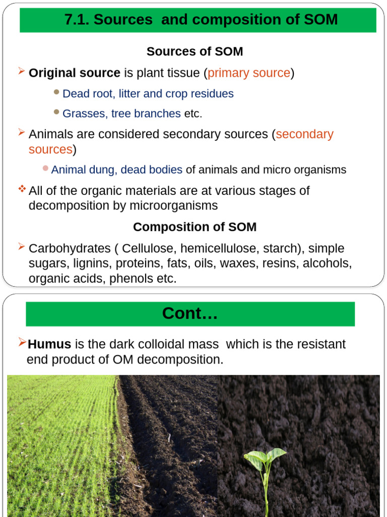 Lecture Soil-2024 Soil | PDF | Soil | Decomposition