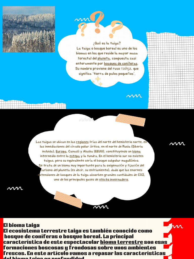 ¿Qué Es La Taiga La Taiga o Bosque Boreal Es Uno de Los Biomas en Los ...