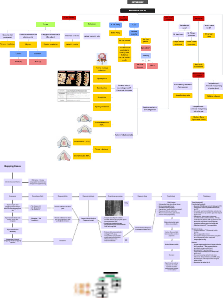 Mapping M3 (1) - Merged | PDF