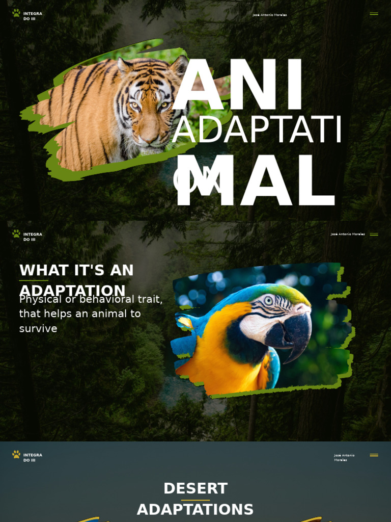 Animal Adaptation _20250425_100516_0000 | PDF