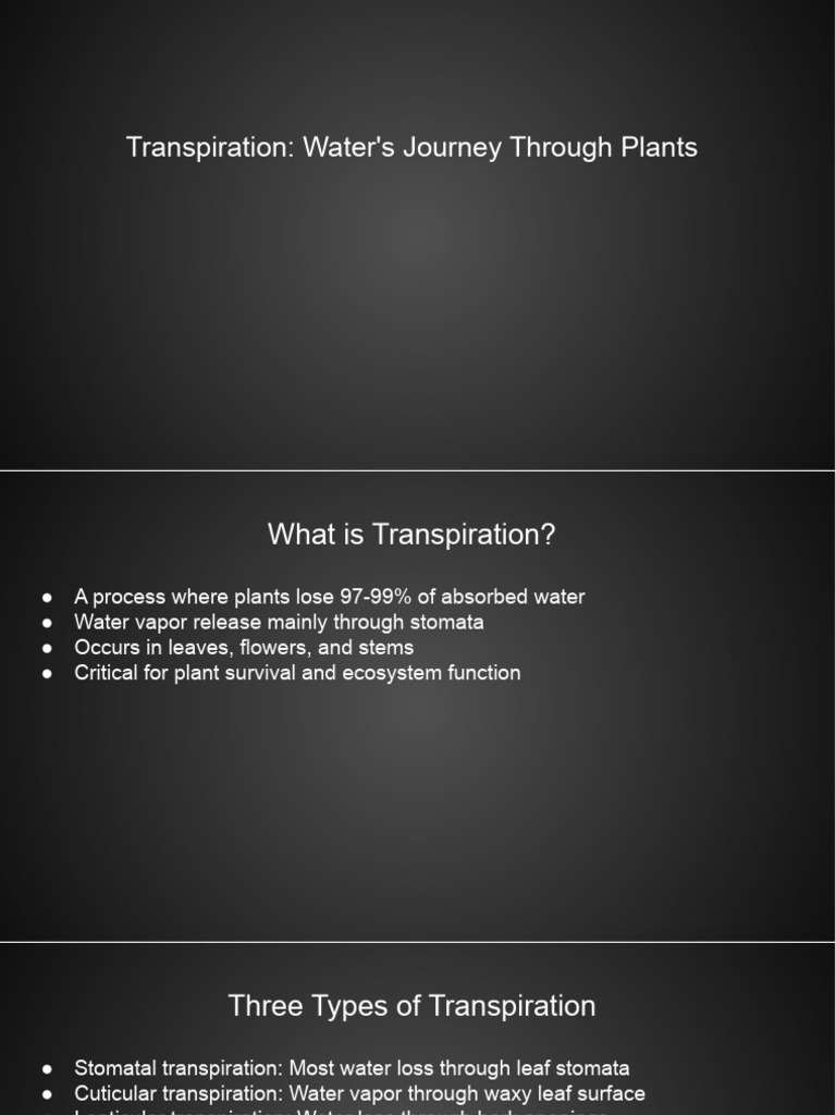 Transpiration - Water's Journey Through Plants | PDF | Stoma | Water