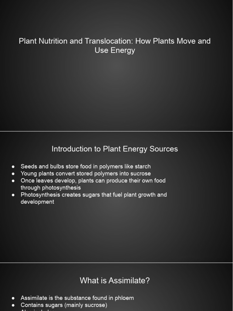 Plant Nutrition and Translocation_ How Plants Move and Use Energy | PDF ...