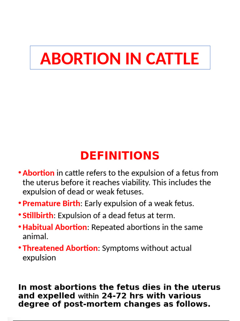 Abortion in Cattle Infectious Causes | PDF | Infection | Miscarriage
