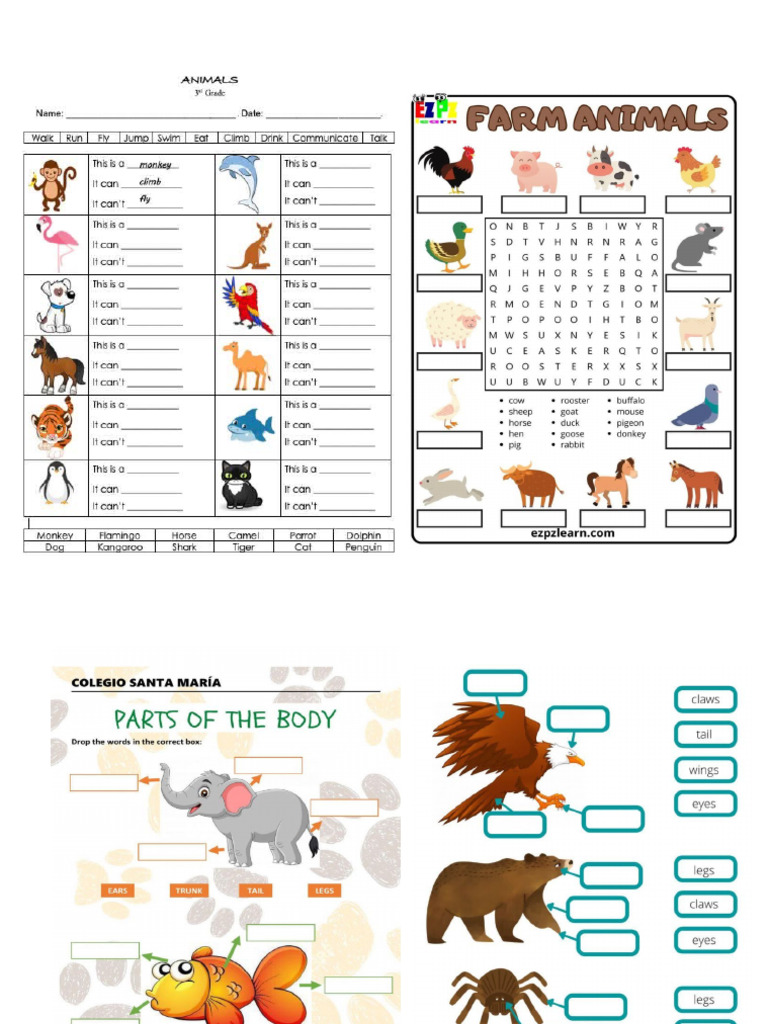 'Animal Worksheet | PDF