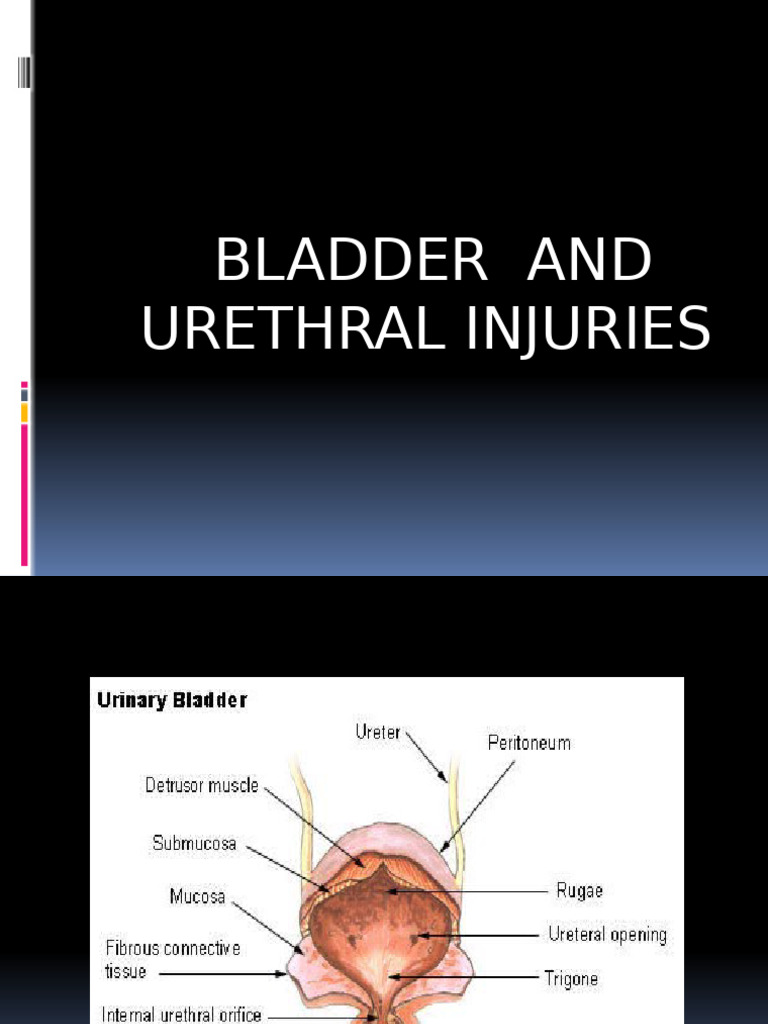 Bladder and Urethral Injuries | PDF
