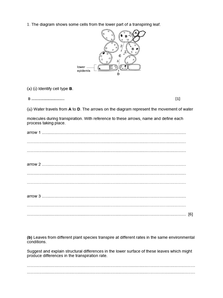 Biology 5090 Practice Test | PDF | Zygosity | Virus