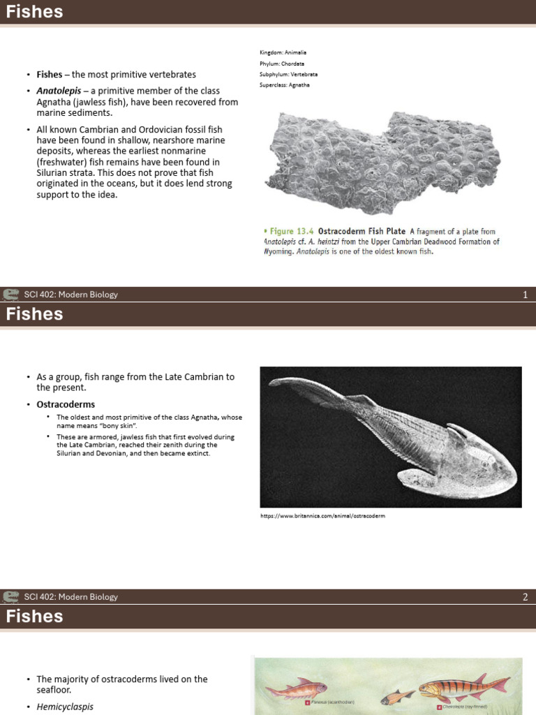 SCI 402 - Summarized Reports 2-1 | PDF