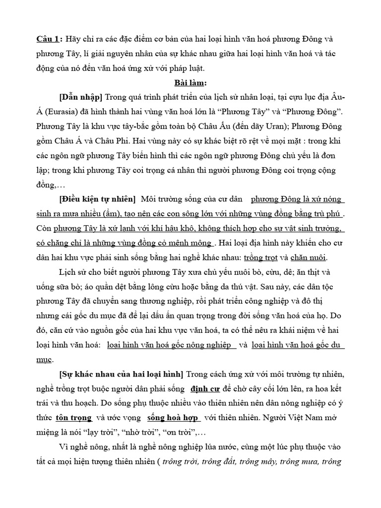 Dai Cuong Van Hoa VN | PDF