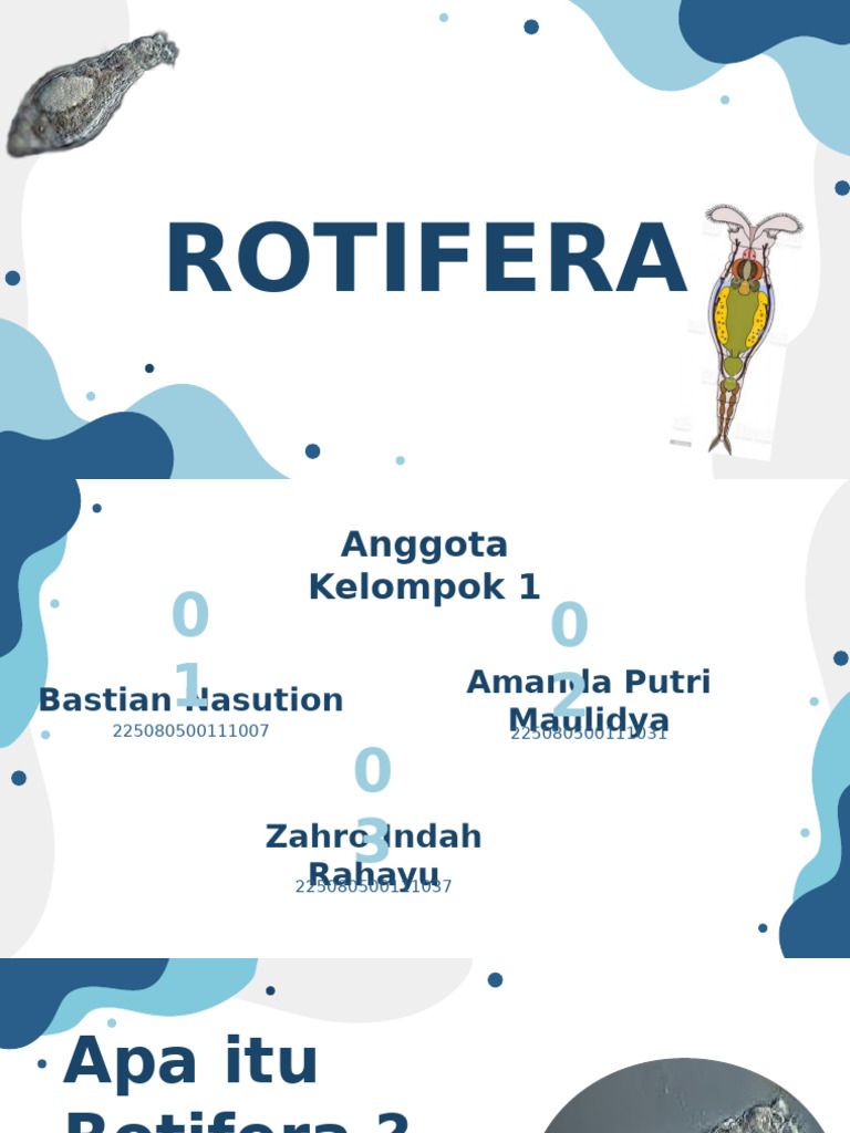 Rotifera | PDF