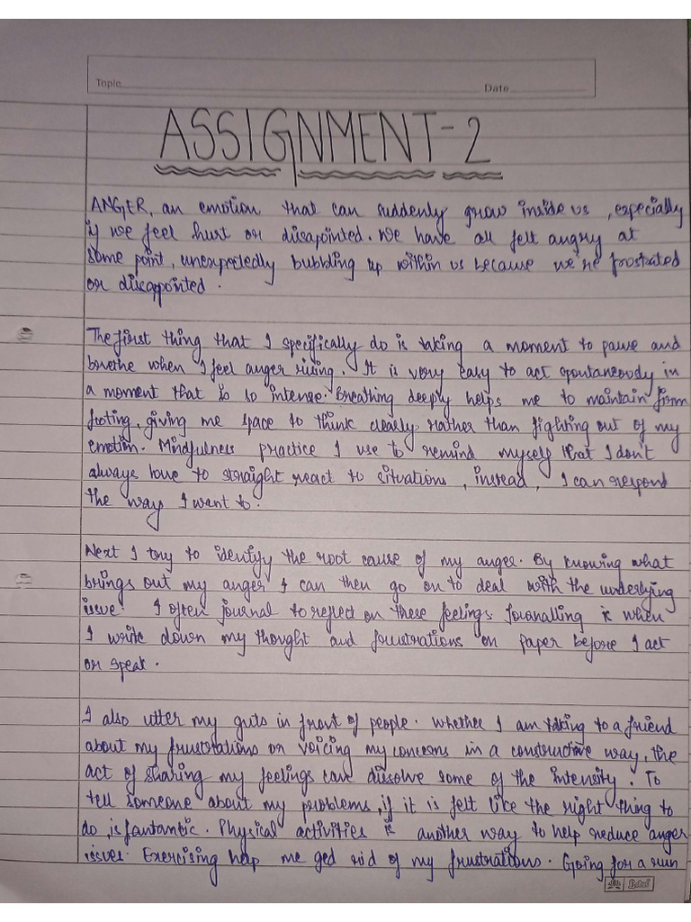 Vac Sem2 Assignment 2 | PDF