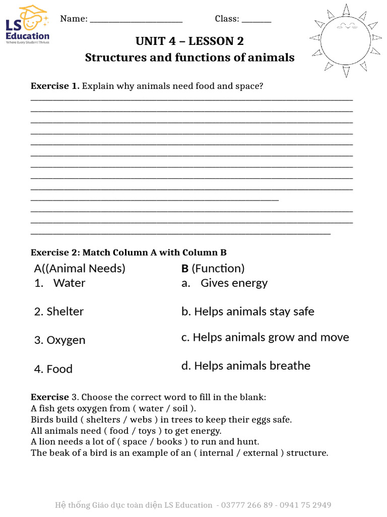 Science G4 Soạn Phiếu -Structures and Functions of Animals | PDF ...
