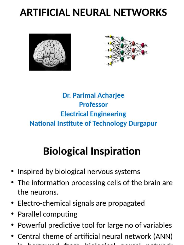 Artificial Neural Networks (Pa) | PDF | Nervous System | Dendrite