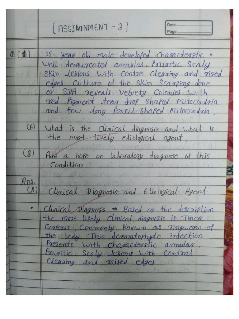 Micro. Assg.3. 15 Year Old Male | PDF