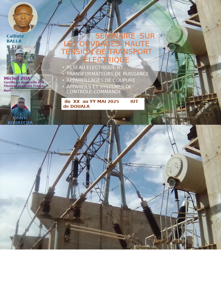 Seminar Flyer IUT Douala - PPTX +++ | PDF