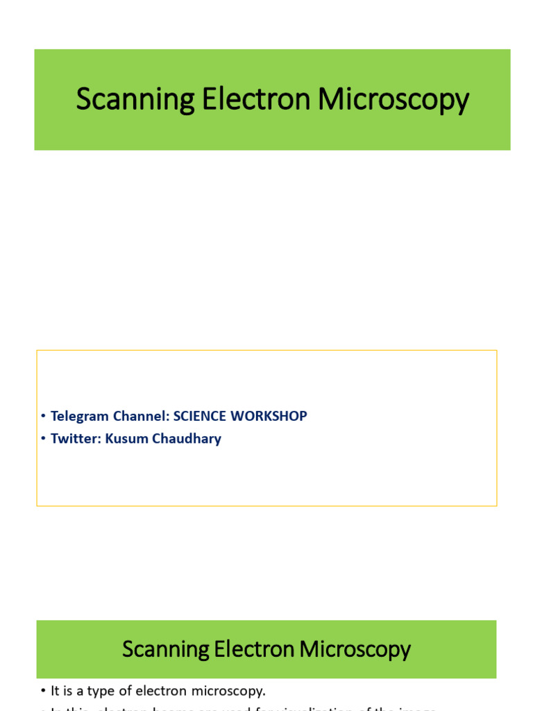 Scanning Electron Micros | PDF | Scanning Electron Microscope | Electron Microscope