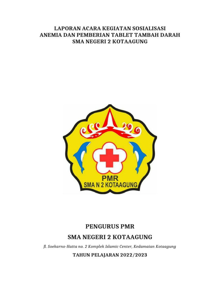 Sosialisasi Anemia dan TTD SMA 2 Kotaagung | PDF