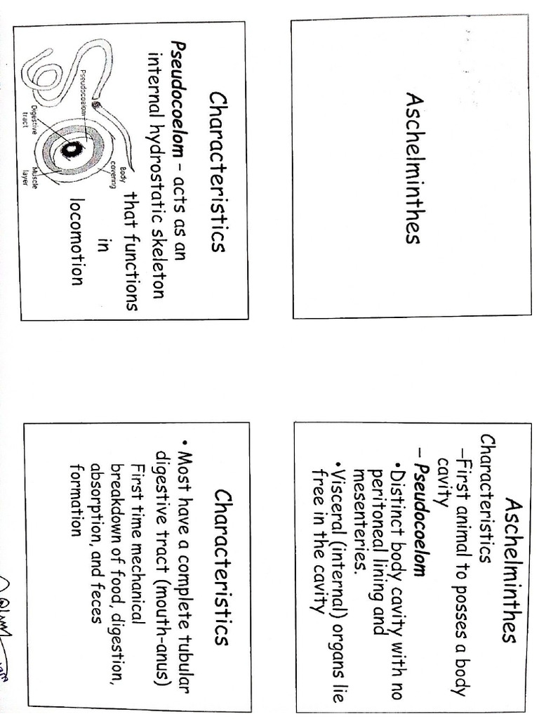 Aschelminthes | PDF