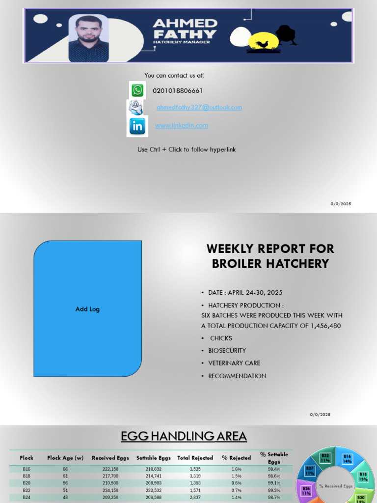 Weekly Report For Hatchery Template | PDF | Poultry | Domesticated Birds