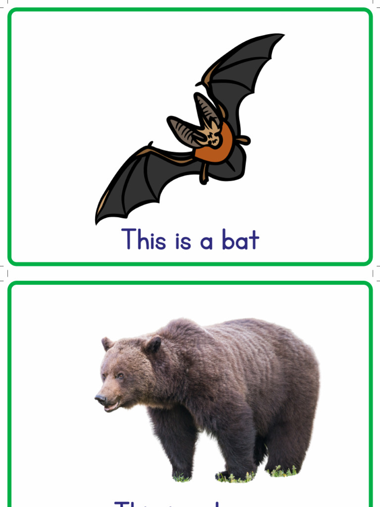 Unit 5 Animal World | PDF