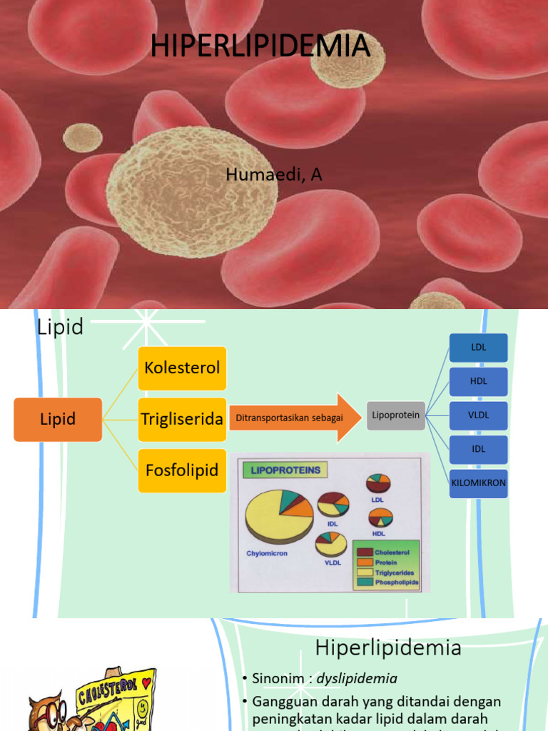 Hiperlipidemia 12 | PDF
