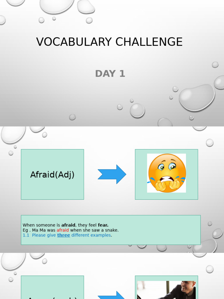 Vocabulary Challenge | PDF