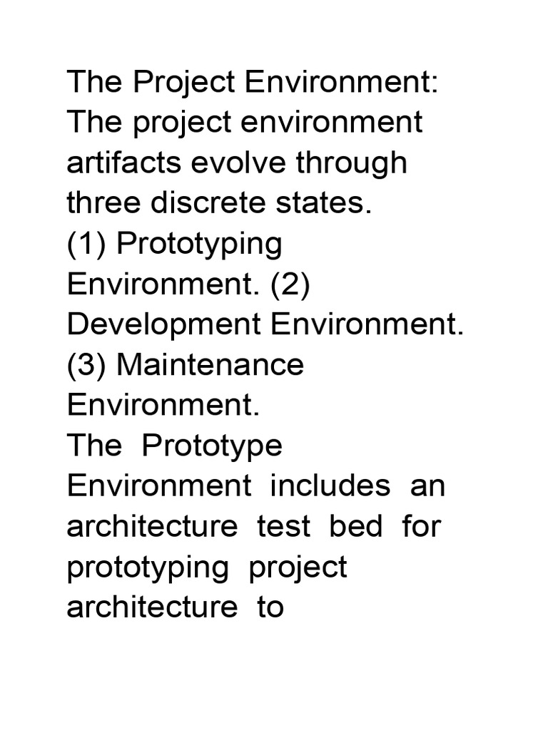 The Project Environment | PDF | Prototype | Project Management