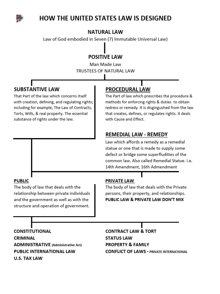 HOW THE UNITED STATES LAW IS DESIGNED | PDF