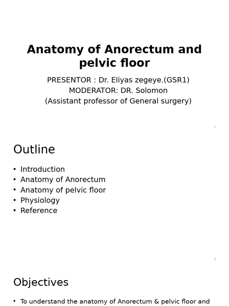 Anatomy of Anorectum and Pelvic Floor | PDF | Rectum | Pelvis