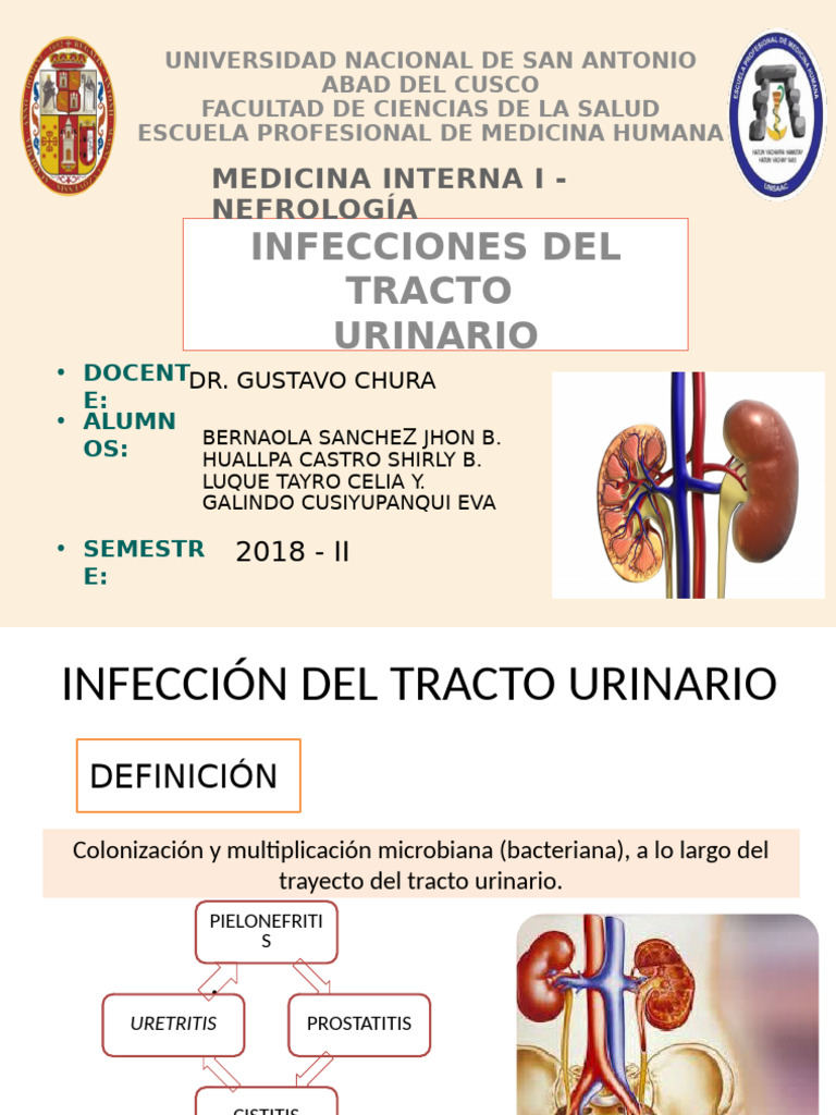 Infecciones Del Tracto Urinario: Medicina Interna I - Nefrología | PDF ...