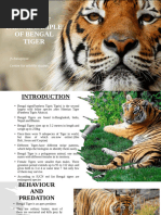Anatomy of Tiger | PDF | Vertebral Column | Skeletal System