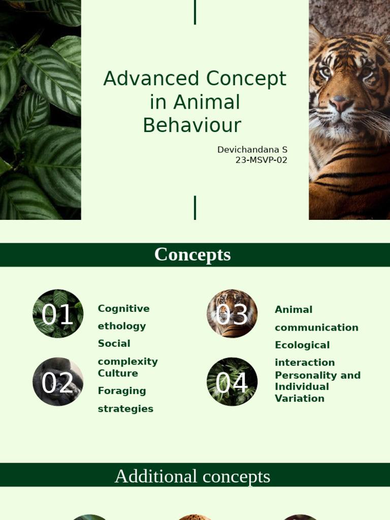 Insights into Animal Behavior Dynamics | PDF | Foraging | Ethology