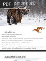 Triadan Tooth Numbering System | PDF