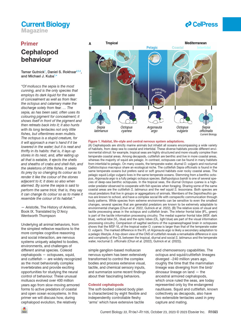 Cephalopod Behaviour 2023 Current Biology | PDF | Octopus | Brain