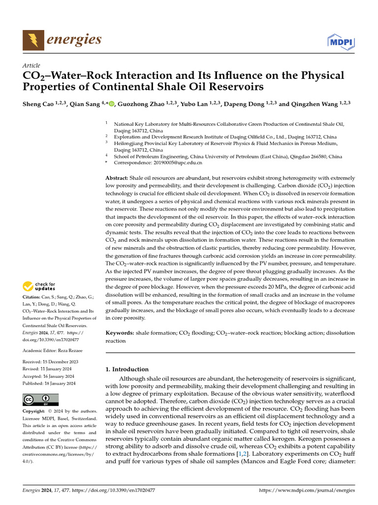 CO2-Water-Rock Interaction in Shale Oil | PDF | Carbon Dioxide ...