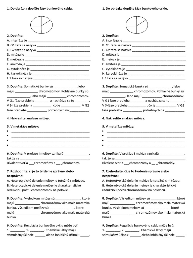 Rozmnožovanie Bunky (Mitóza, Meióza) - Pracovný List | PDF