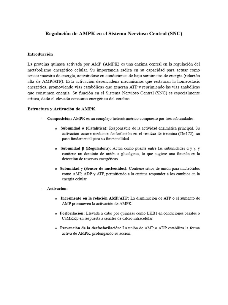 Regulación de AMPK en El SNC | PDF | Quinasa | Fosforilación