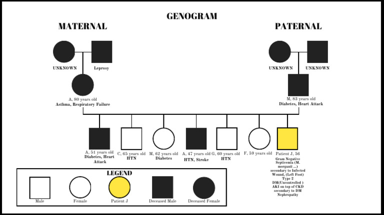 GENOGRAM | PDF