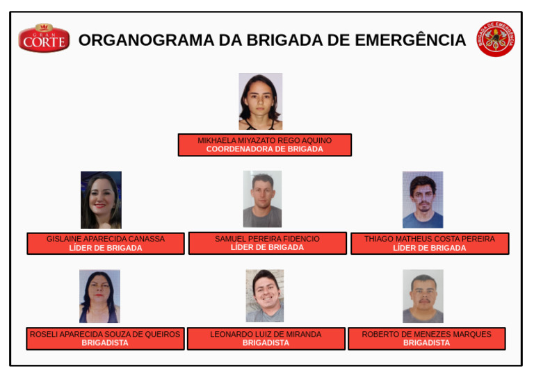 Organograma da Brigada de Emergência | PDF