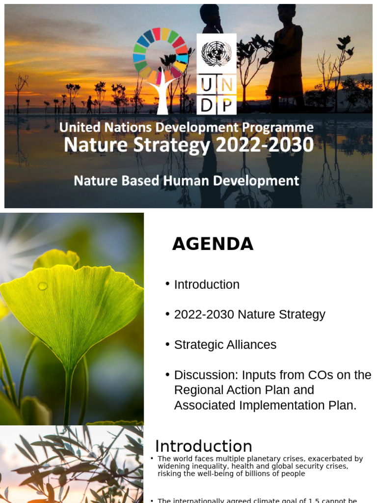 2030 Nature Strategy May 31, 2022 | PDF | Sustainability | Sustainable ...