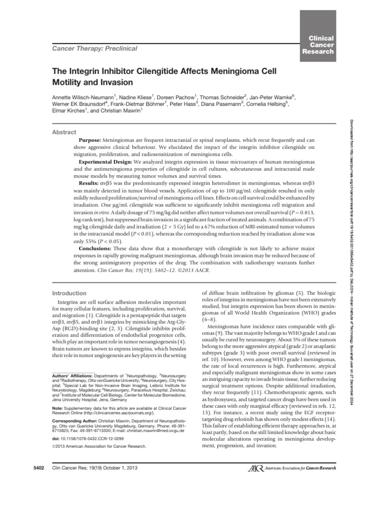 Cilengitide 2 Meningioma Cell Line | PDF | Radiation Therapy | Integrin