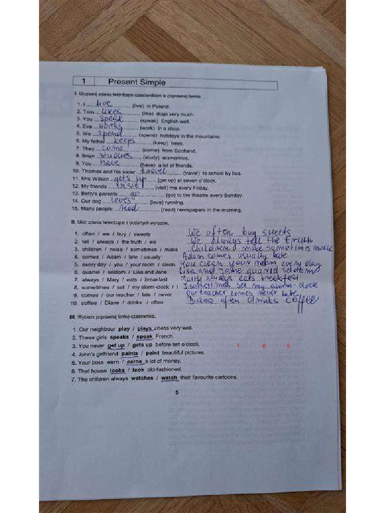 Present Simple - Praca Domowa | PDF
