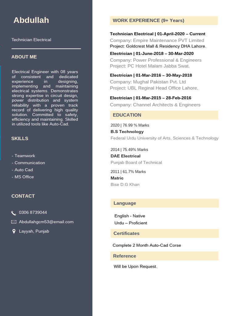 215 Professional Resume | PDF | Résumé