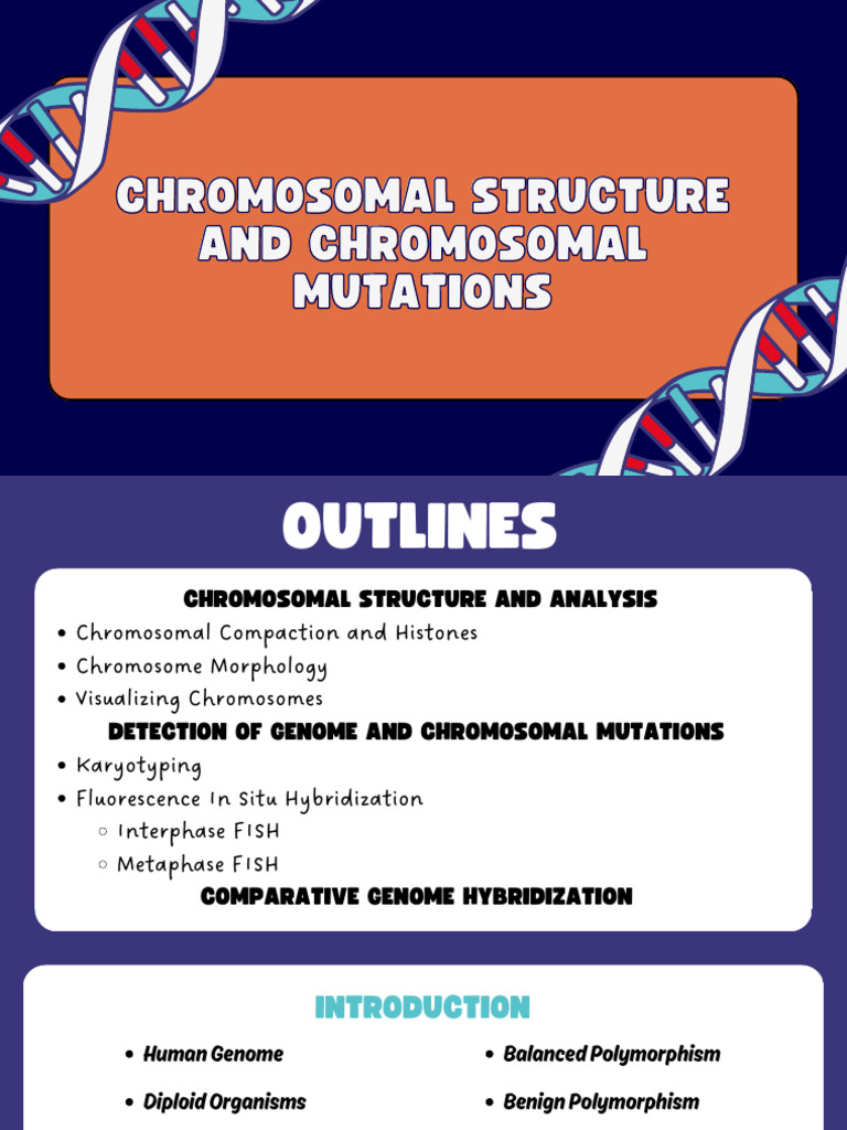 Chromosomal Structure and Chromosomal Mutations 1 | PDF | Fluorescence ...
