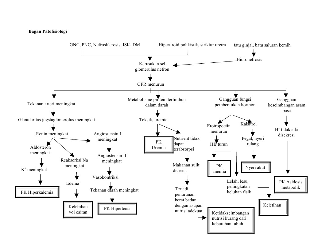Pathway Ckd