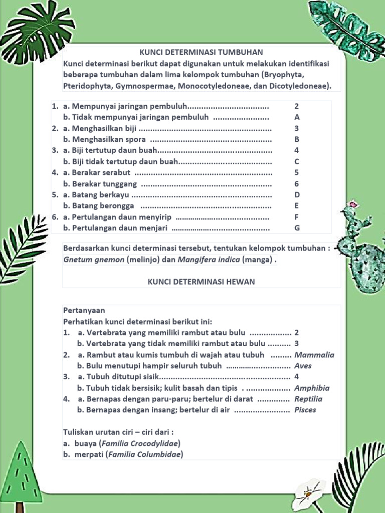 Kunci Determinasi Tumbuhan dan Hewan | PDF
