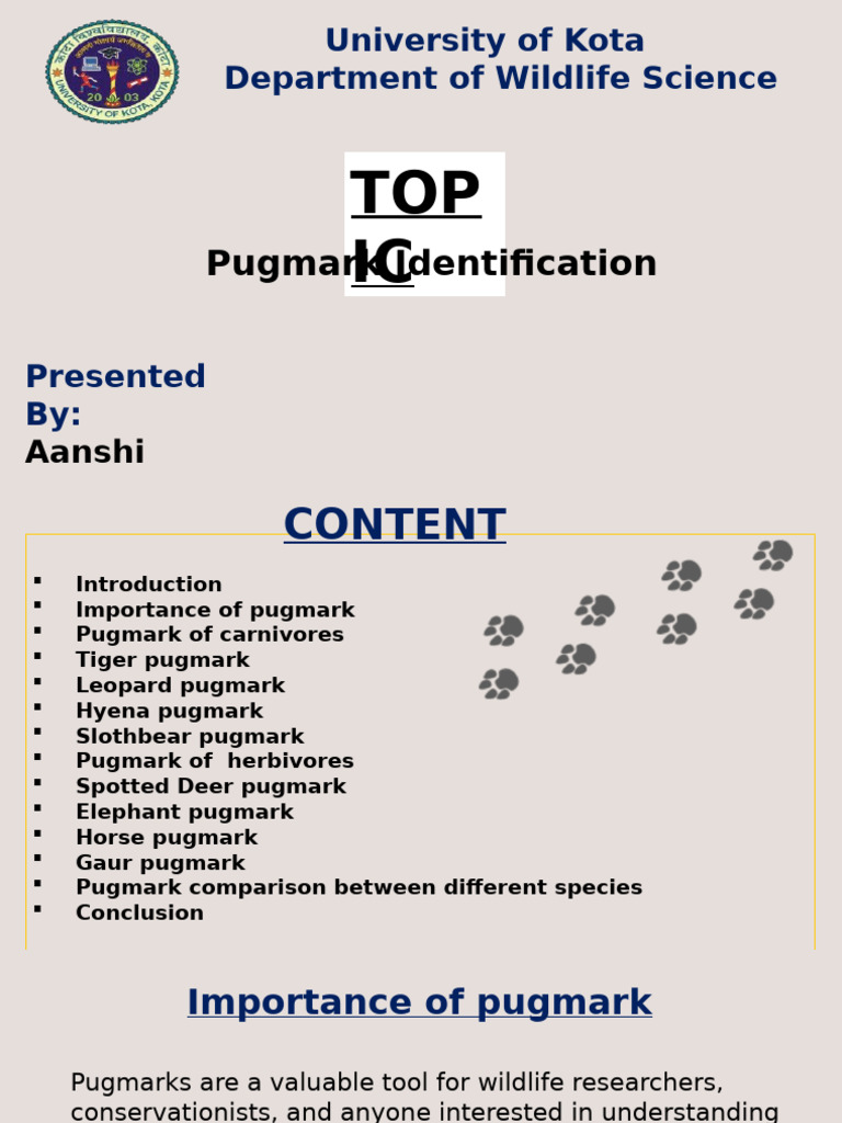 Pugmark Identification Guide | PDF | Tiger | Zoology