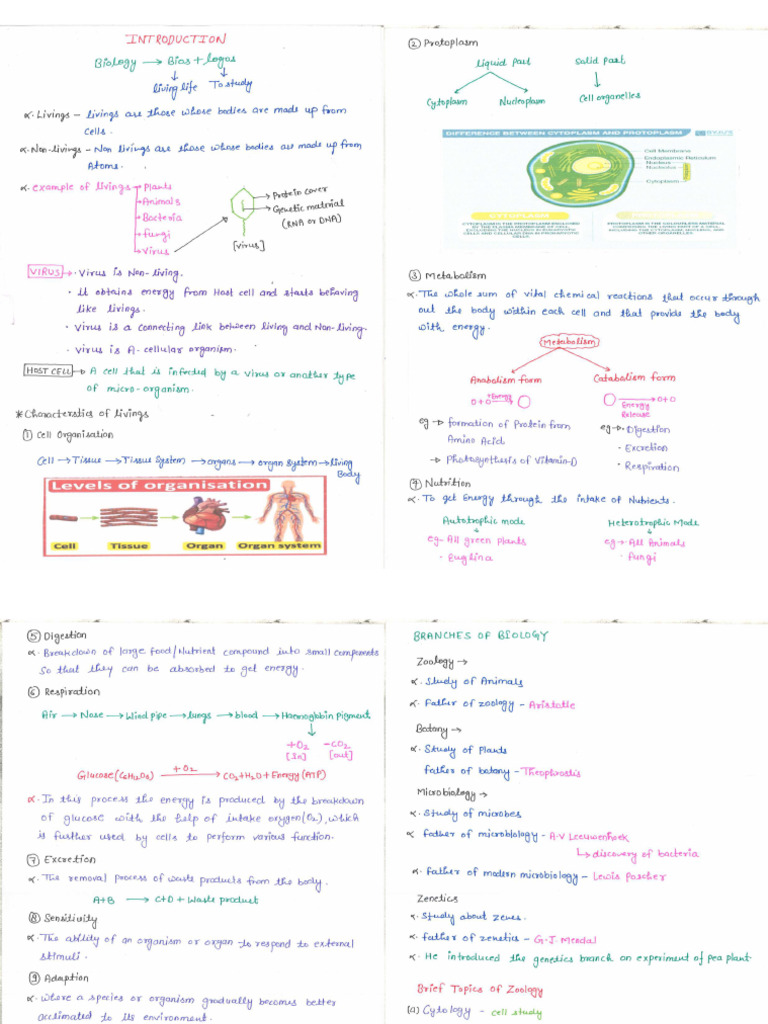 Complete Biology Notes (English Medium) Part-1-Merged | PDF