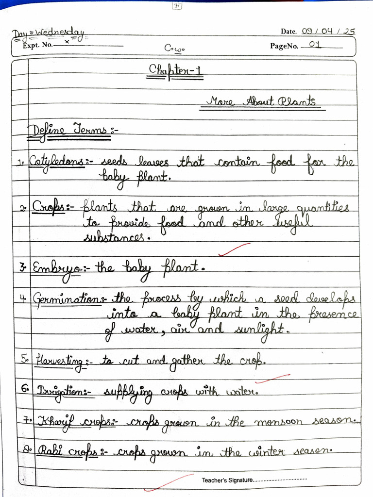Science Notebook Work Chapter 1 and 2 | PDF