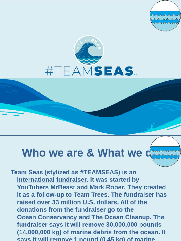Team Seas: Ocean Cleanup Initiative | PDF