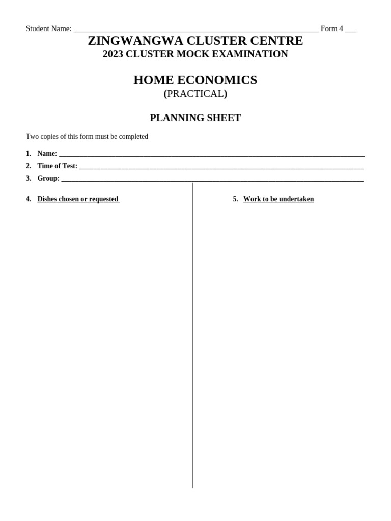 Home Economics Practical Planning Sheet | PDF